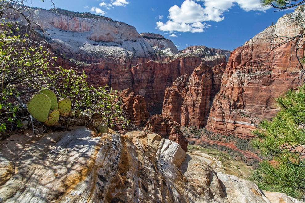 Zion National Park, Utah – Andy Porter Photography