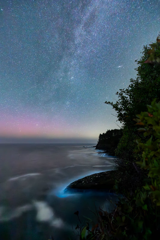 Bioluminesence Cape Flattery – Andy Porter Photography