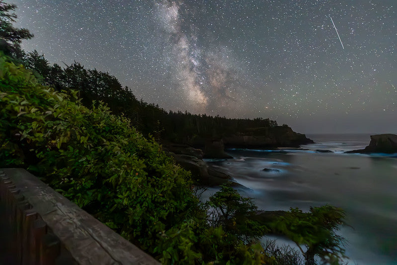Bioluminesence at Cape Flattery – Andy Porter Photography