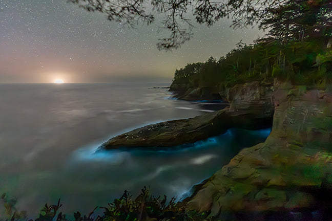 Cape Flattery Bioluminesence – Andy Porter Photography