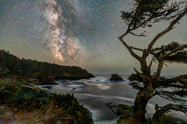 Cape Flattery Milky Way Bioluminesence – Andy Porter Photography