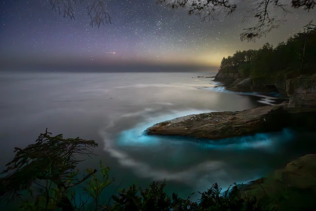 Bioluminesence at Cape Flattery – Andy Porter Photography