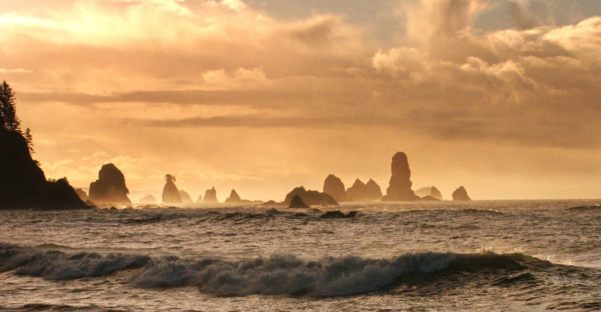 Giants Graveyard, Olympic Coast – Andy Porter Photography