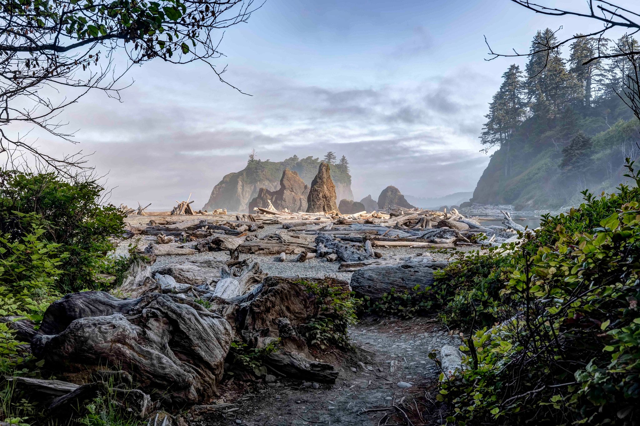 Ruby Beach, Olympic Coast – Andy Porter Photography